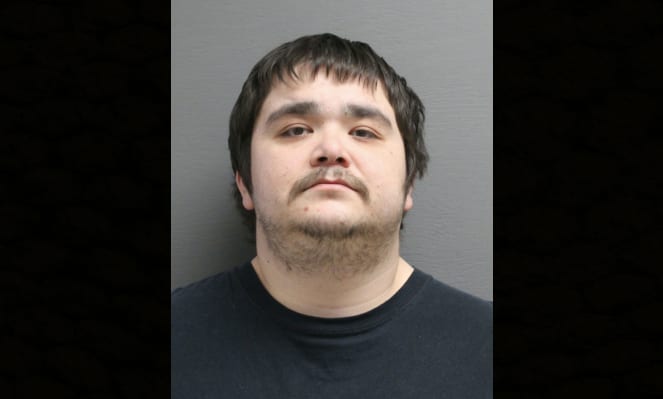 Man charged with sexual assault back in custody after being released by ...